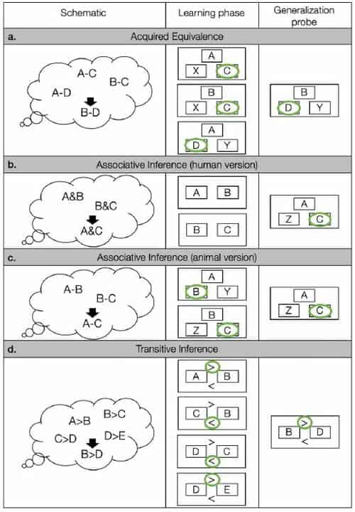 How do we generalize? | Published in Neurons, Behavior, Data analysis ...