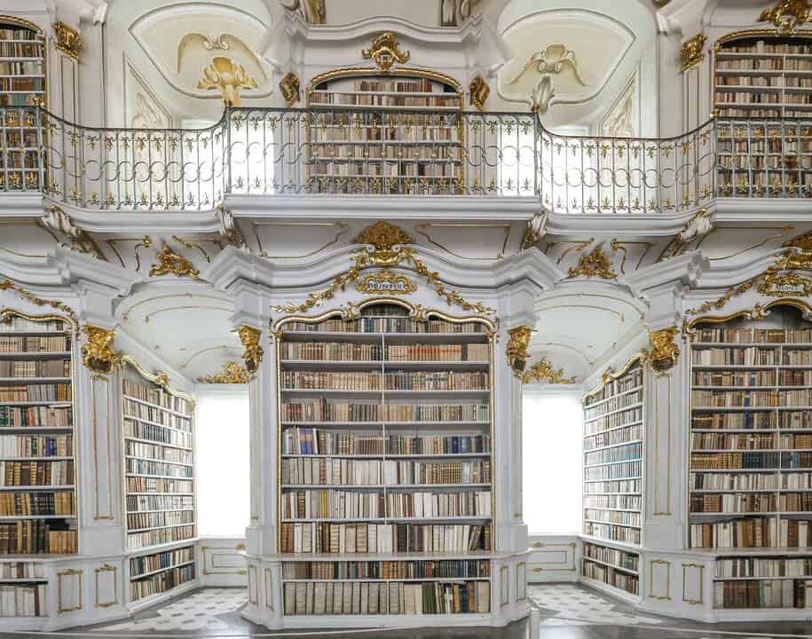 The Novelist Enters the Library | Published in TEXT