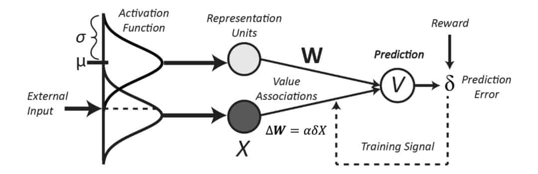 Representation learning with reward prediction errors | Published in Neurons, Behavior, Data ...