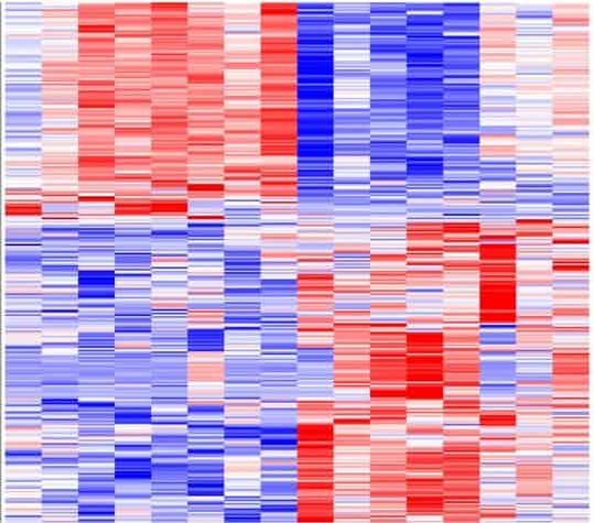 Analysis Of Single Cell Rna Sequencing Data Reveals Pre Metastatic Oncogenes Within Lung Cancer