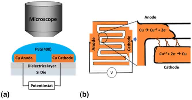 Prevention of Cu Electrolytic Migration Defects on RDL by a Cu ...
