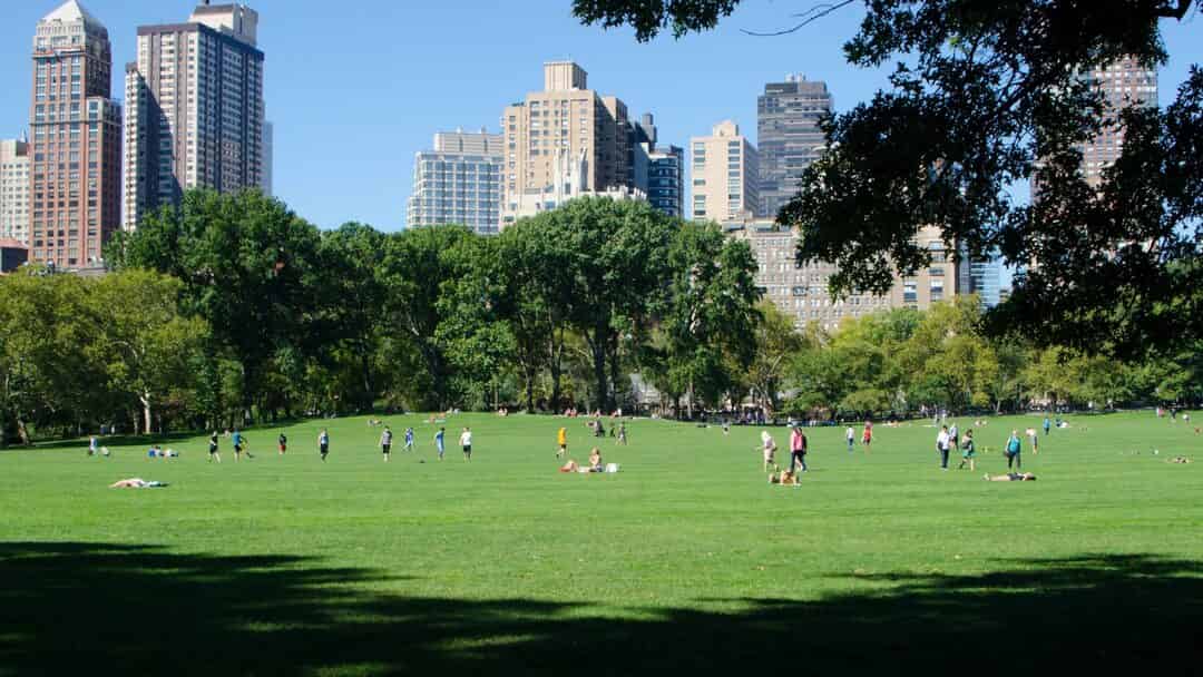 The Effect of Built Environment on Urban Park Visits during the Early ...