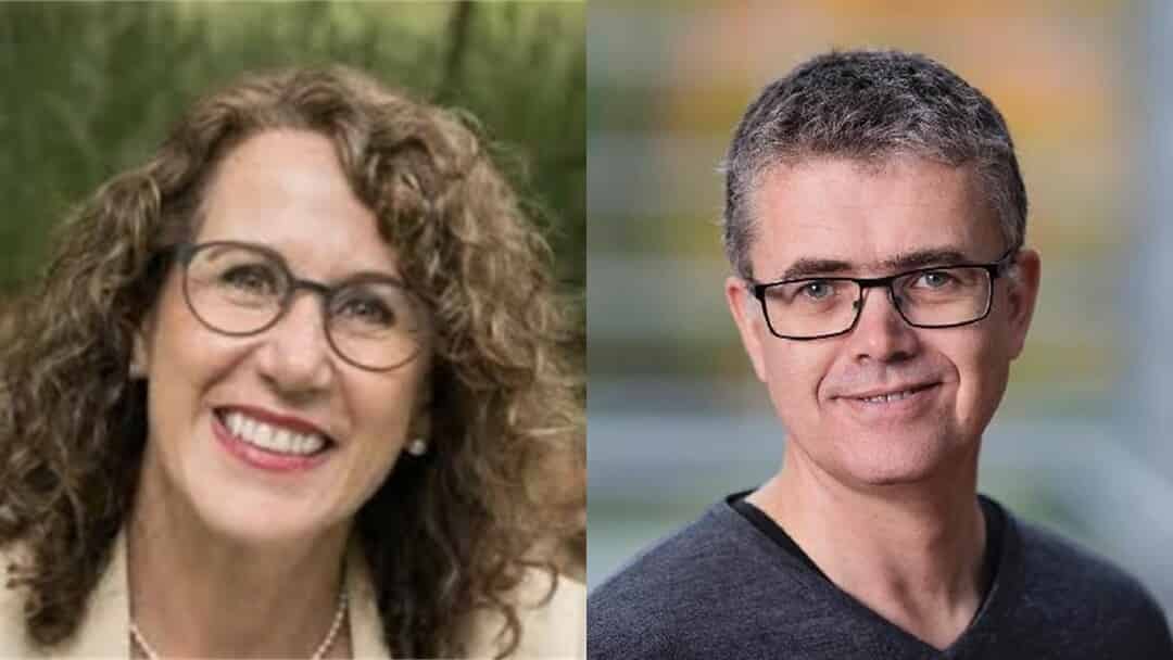 The Psychometric of the Adult Resilience Doughnut Model, a Solution ...