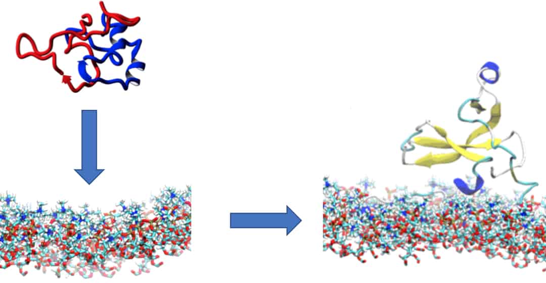 Amyloid cascade hypothesis for Alzheimer’s disease. Does it work under physiological conditions ...