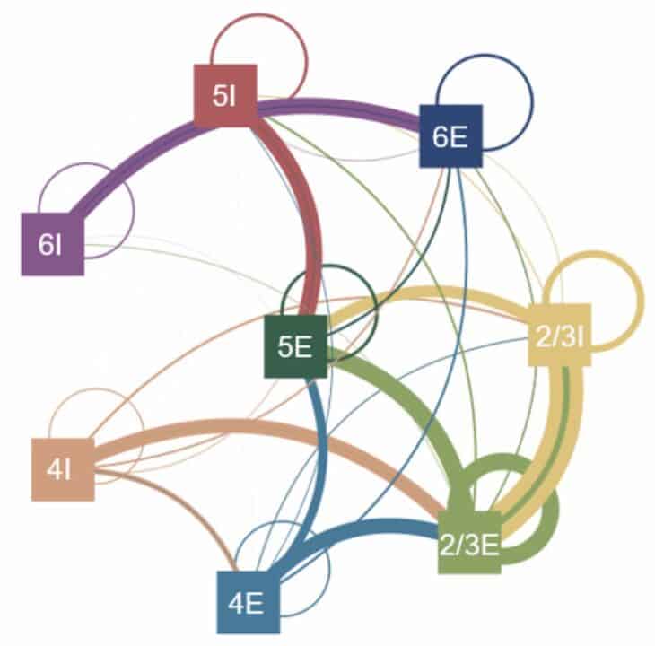 Modelling Spontaneous Firing Activity of the Motor Cortex in a Spiking Neural Network with ...