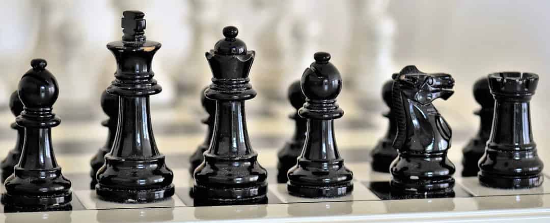Chess and the human brain- Demystifying the therapeutic value of a ...