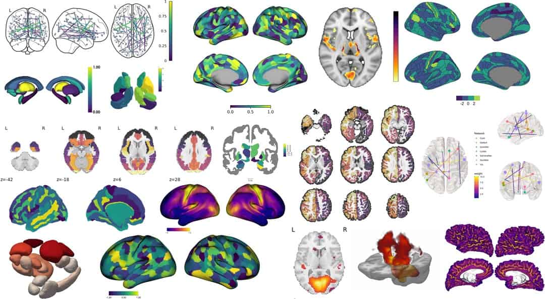 A Practical Guide for Generating Reproducible and Programmatic ...
