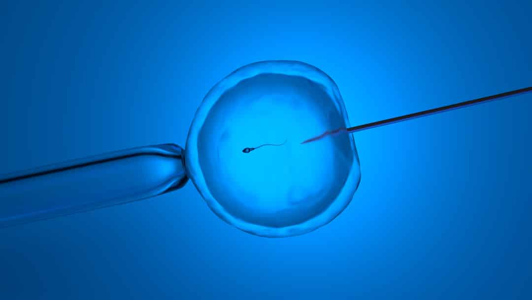 The need for a new academic and scientific journal in the field of in vitro fertilization ...