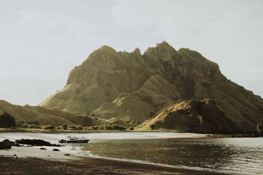 Systematic Literature Review on Alternative Governance Arrangements for ...