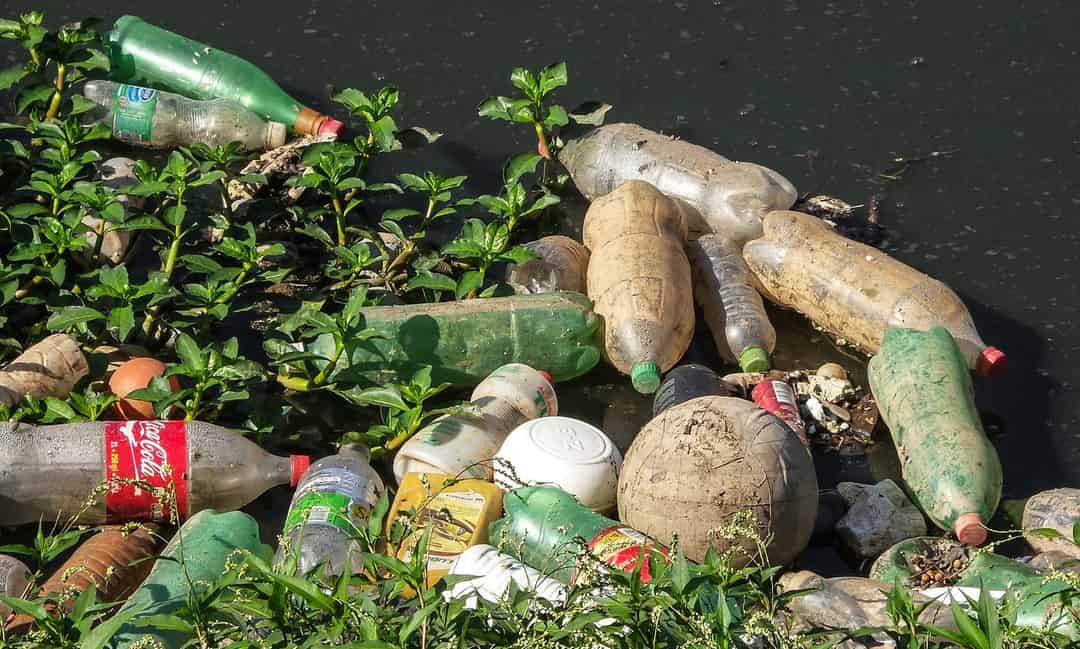 Using Machine Learning To Automate Trash Detection On A Limited Dataset