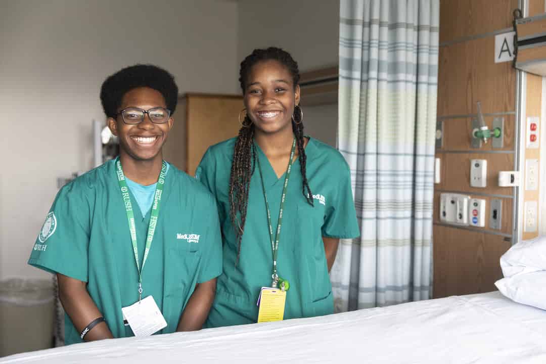 Cultivating STEM/Health Identities and Talent in Historically ...