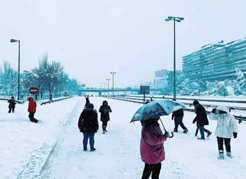 Activity Reduction as Resilience Indicator: Evidence with Filomena Data ...