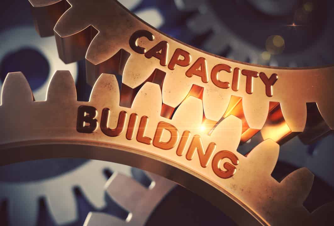 Leadership Development: The Road to Successful Capacity Building ...