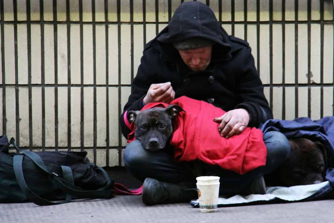 Pushed Into the Shadows: The Criminalization of Homelessness and Its ...
