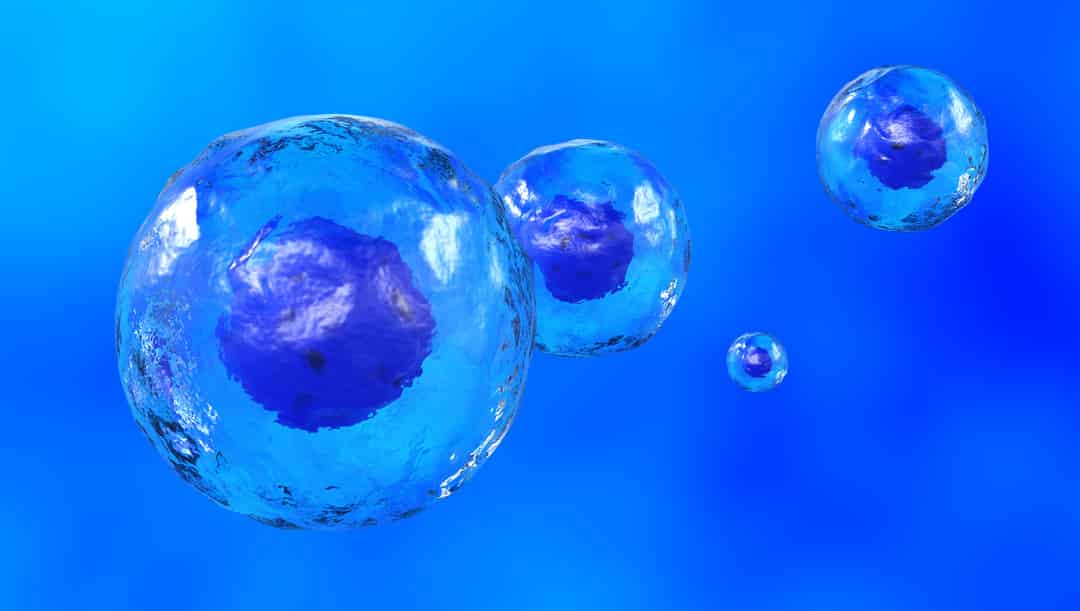 Prevention and management of acute toxicities from conditioning ...