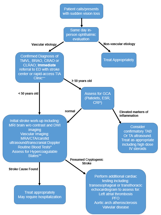 Case Report: Retinal Artery Occlusion Associated with Patent Foramen ...