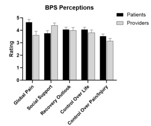 COMPARISON OF CHIROPRACTIC STUDENT PROVIDER AND PATIENT PERCEPTIONS OF ...