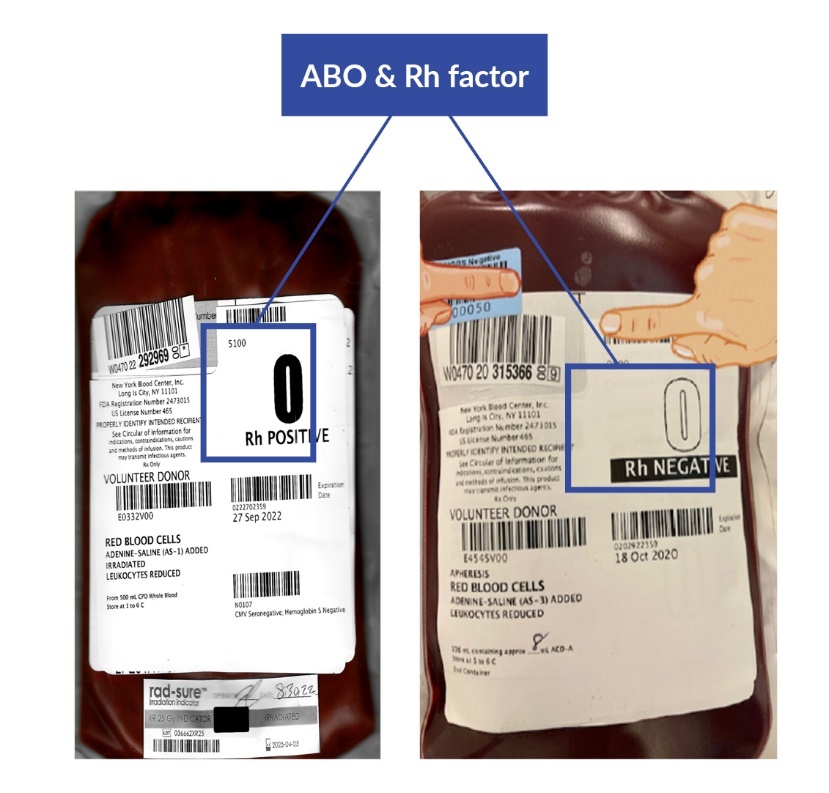 So Many Barcodes, So Little Time: A Quality Improvement Project to ...