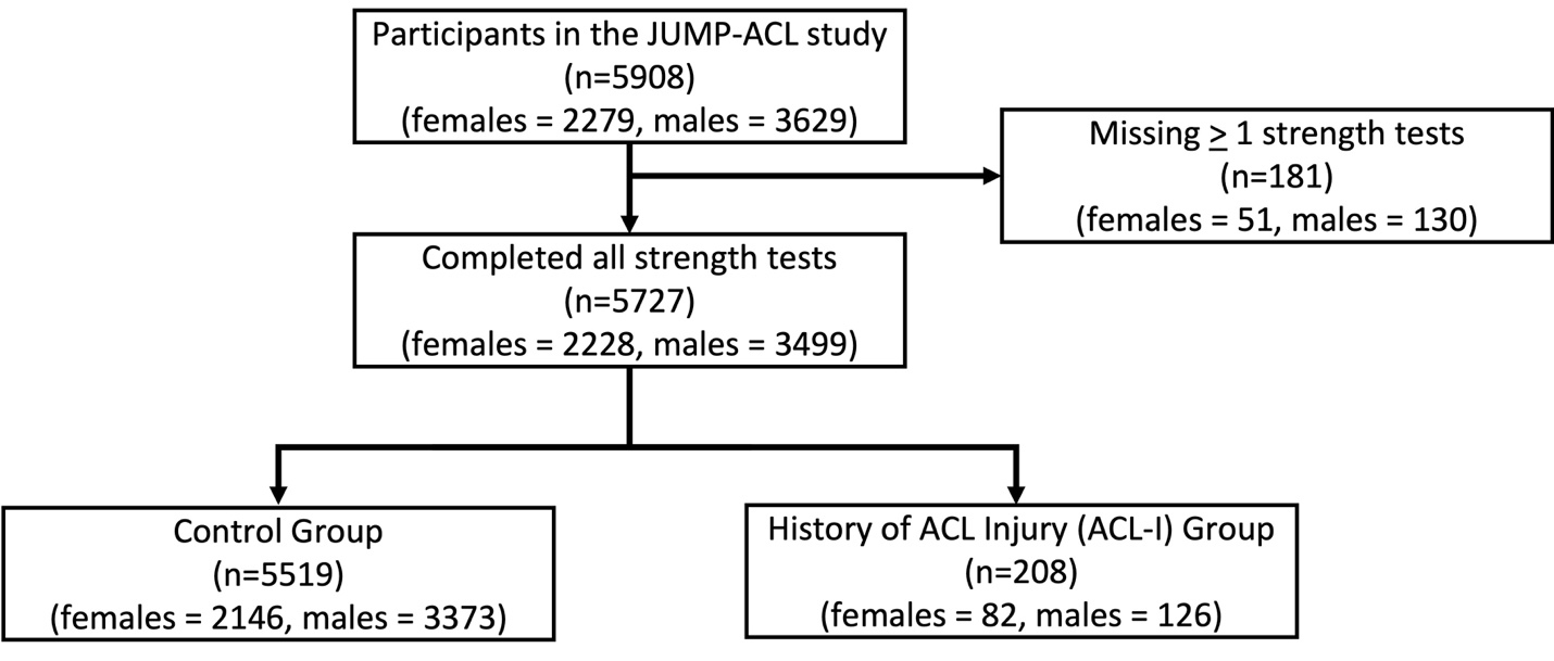 Strength of the Uninvolved Limb Following Return to Activity After ACL ...