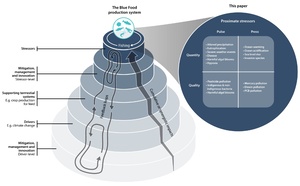 Opportunities for Blue food in a turbulent future - what’s ahead for a ...