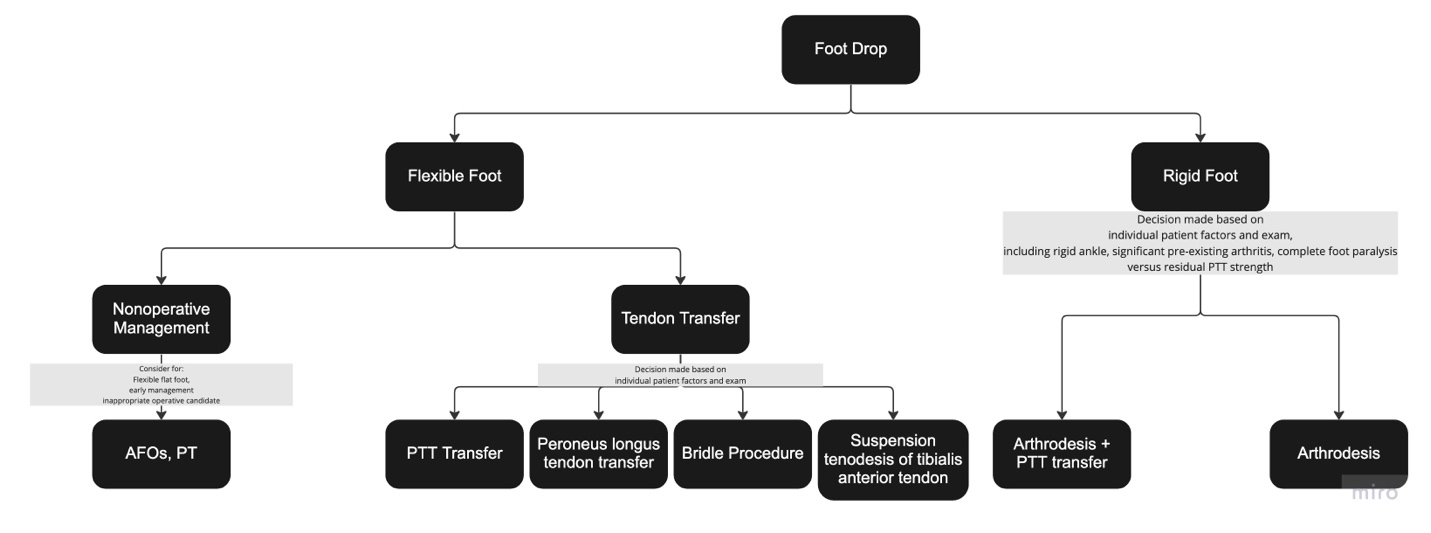 Surgical Management of Foot Drop | Published in Orthopedic Reviews