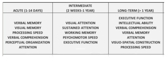 Cognitive Deficits Following Concussion: A Systematic Review ...