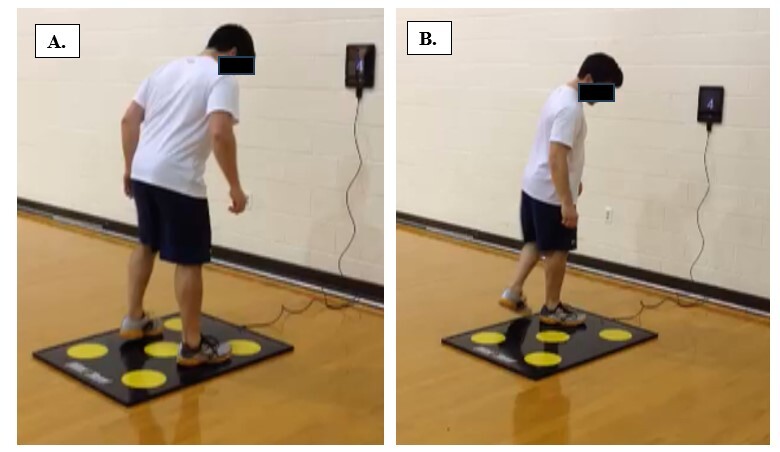 Advanced Neuromuscular Training Differentially Changes Performance on ...