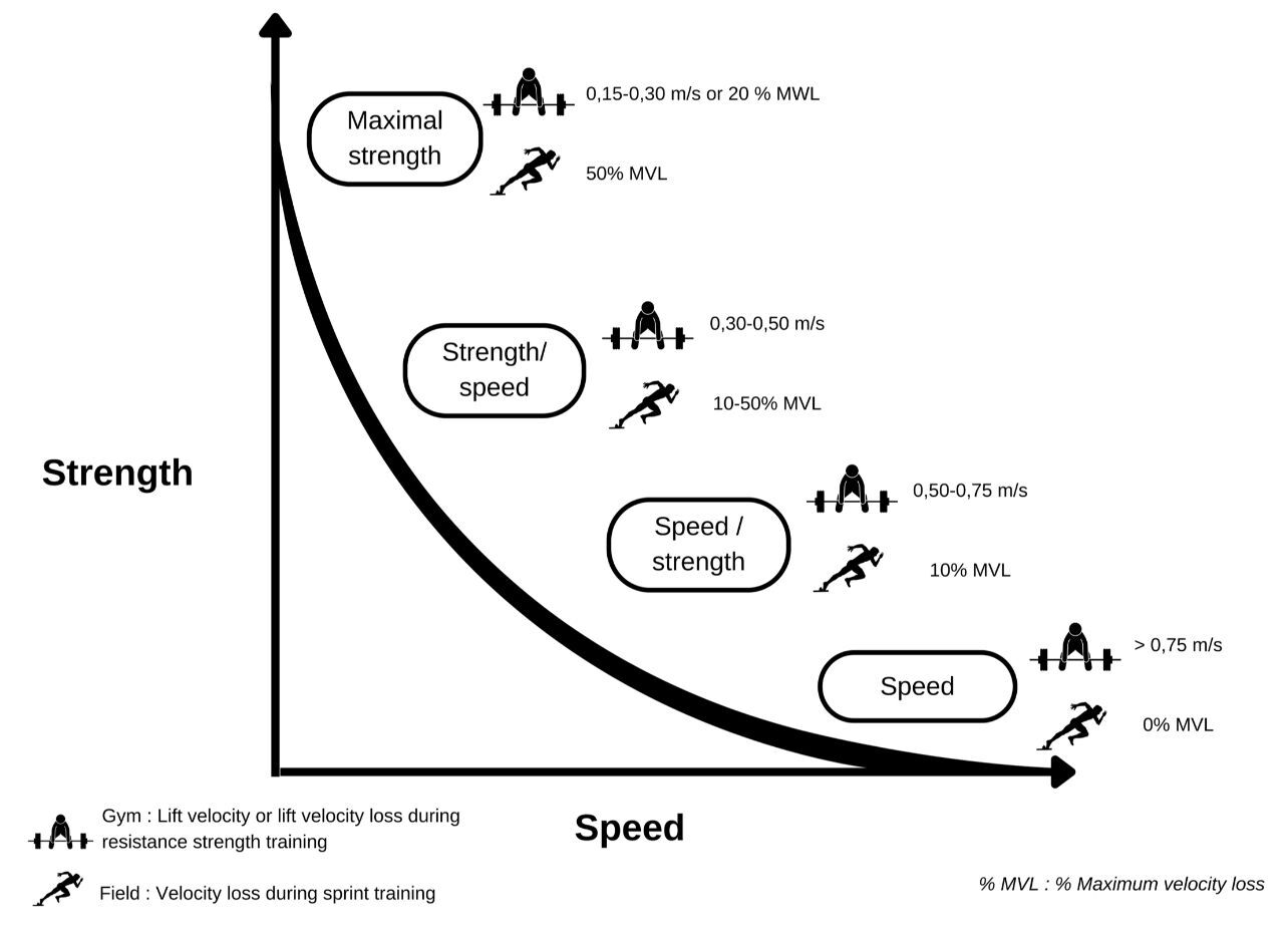Implementing Velocity-Based Training to Optimize Return to Sprint After ...