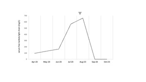Elranatamab treatment in a multiple myeloma patient undergoing renal ...