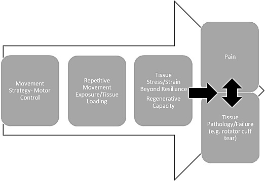 Changing our Diagnostic Paradigm Part II: Movement System Diagnostic ...