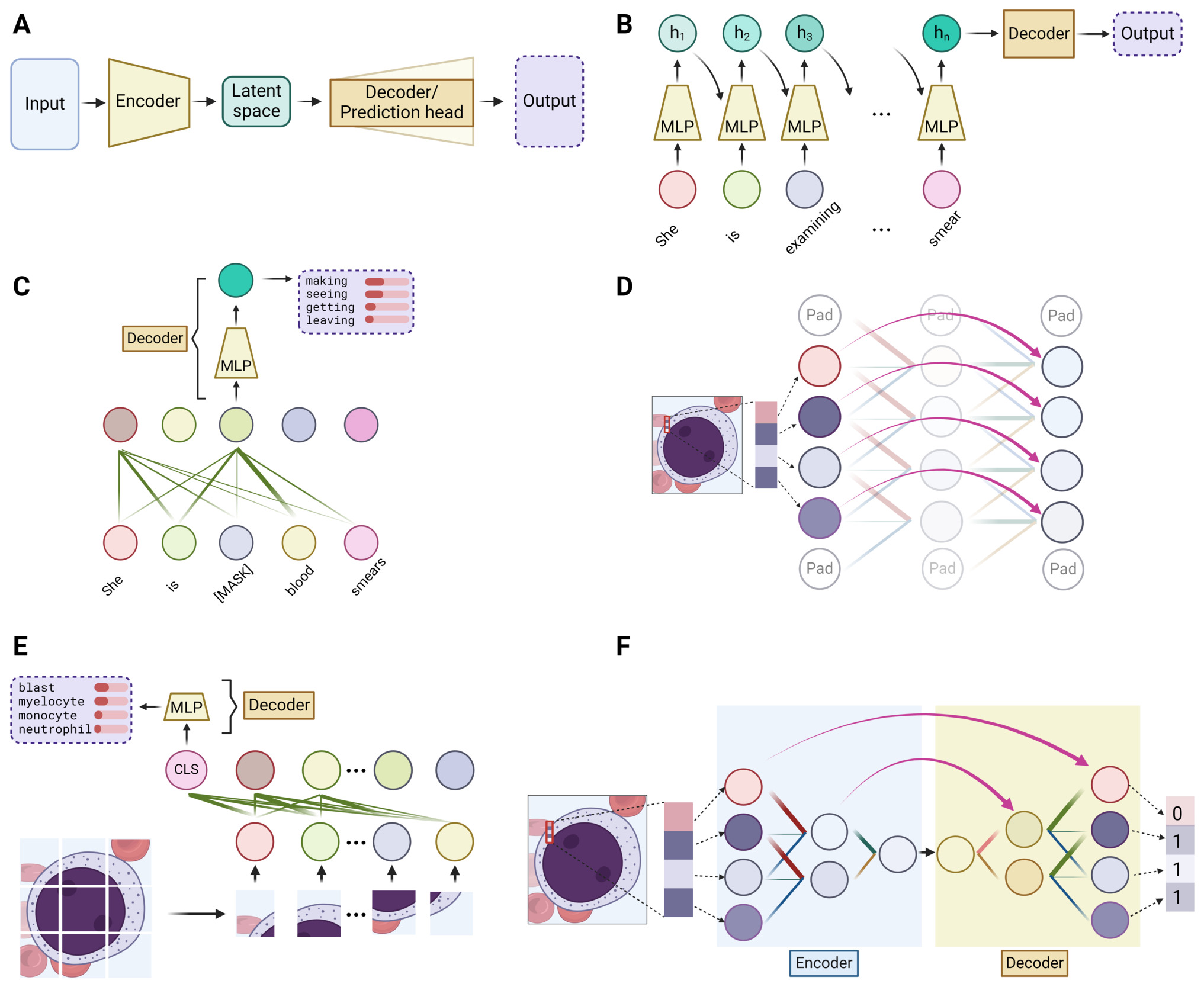 Deep Learning in Hematology: From Molecules to Patients | Published in Clinical Hematology ...