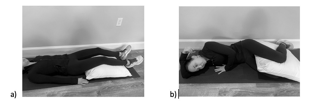 Classification Based Treatment of Greater Trochanteric Pain Syndrome ...