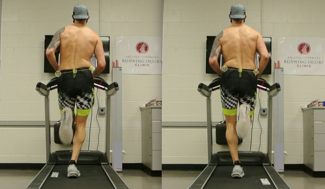 Application of the 4-Element Movement System Model to Sports Physical ...