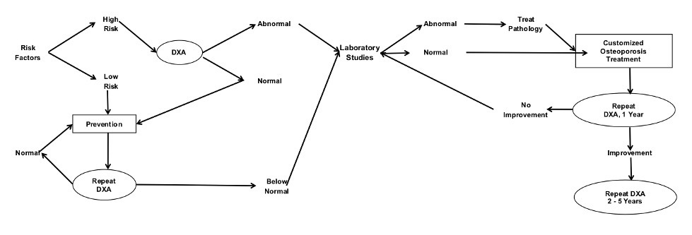 OSTEOPOROSIS: A REVIEW FOR CHIROPRACTIC CLINICIANS | Published in ...