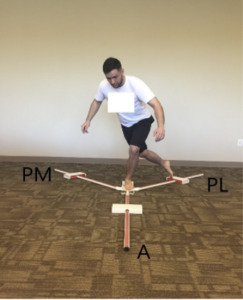 Lower Extremity and Trunk Electromyographic Muscle Activity During ...