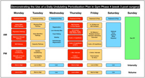 The Development of a Return to Performance Pathway Involving A ...