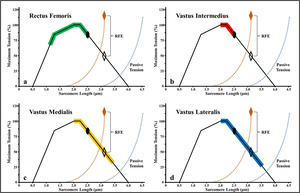 Oh, My Quad: A Clinical Commentary And Evidence-Based Framework for the ...
