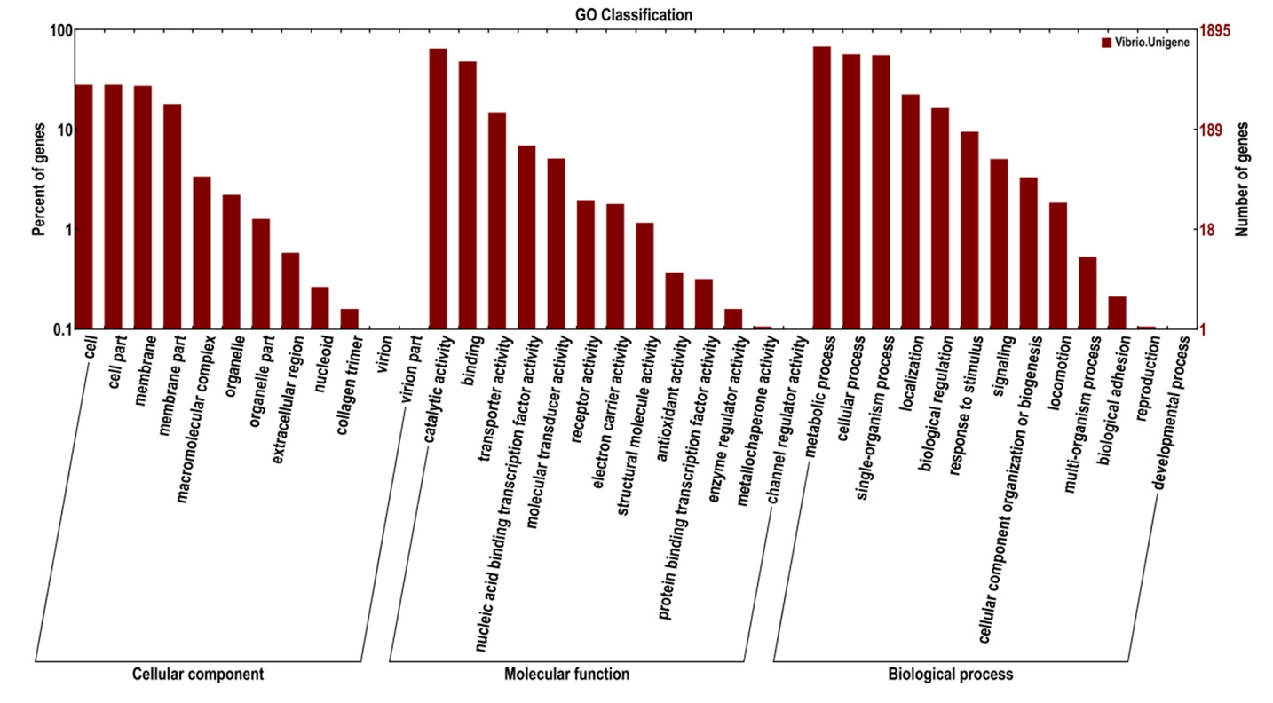 Transcriptome analysis reveals the important roles of a two-component ...