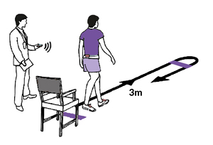 Assessment and Treatment of Elderly Patients with Multiple Myeloma ...