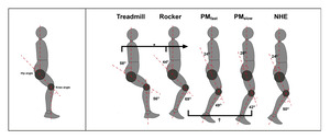 Muscle Activity and Kinematics During Three Hamstring Strengthening ...