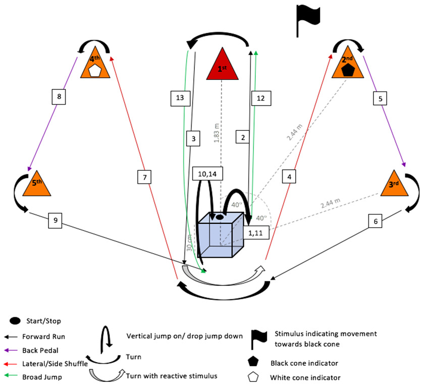 The Reliability and Validity of the Modified Butterfly Agility Test ...