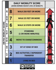 Relationship Between Mobility and Falls in the Hospital Setting ...