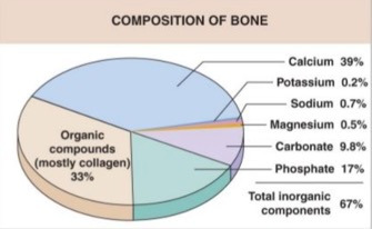 OSTEOPOROSIS: A REVIEW FOR CHIROPRACTIC CLINICIANS | Published in ...