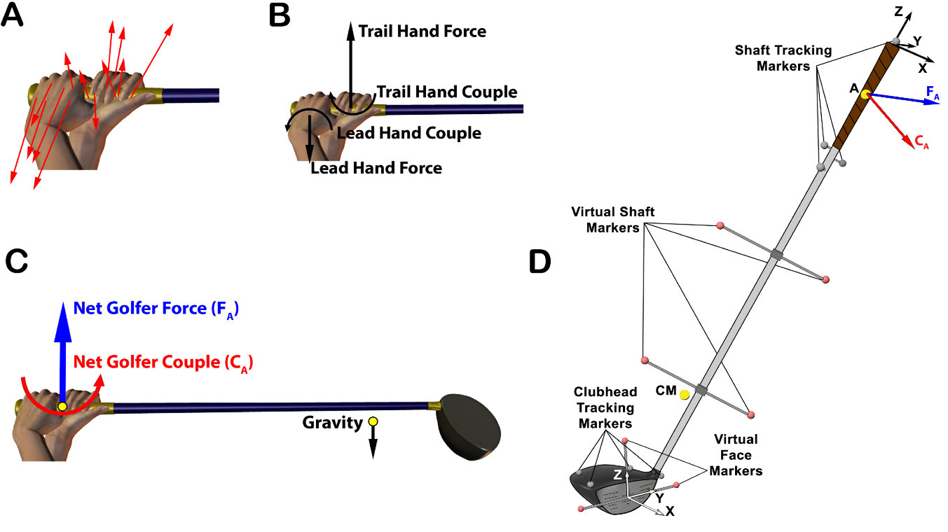 How Amateur Golfers Deliver Energy to the Driver | Published in ...