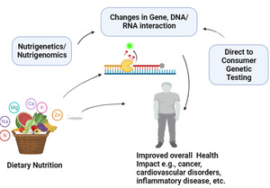 Advancing Precision Nutrition in Endometriosis Care: The Role of ...