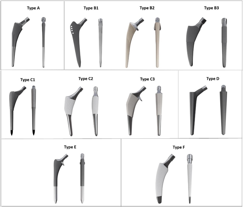 erect stem types