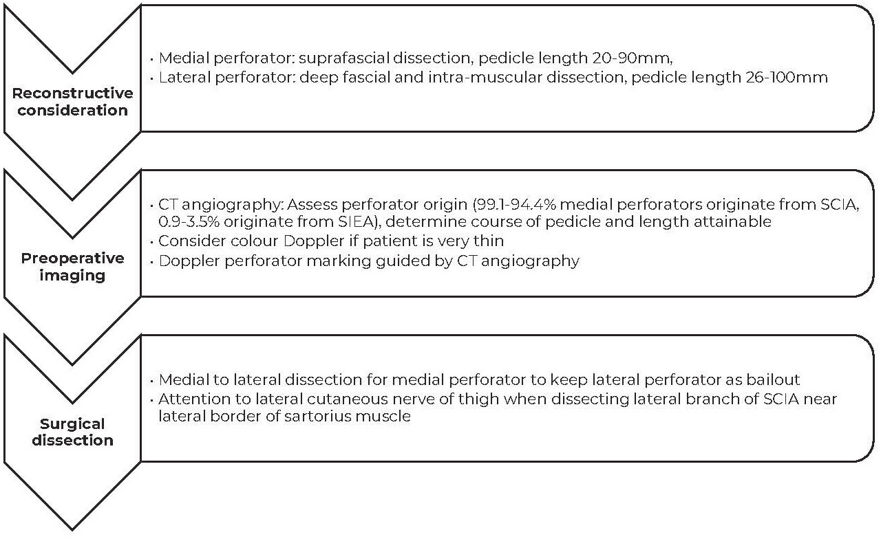 Review of the superficial circumflex iliac artery perforator flap ...