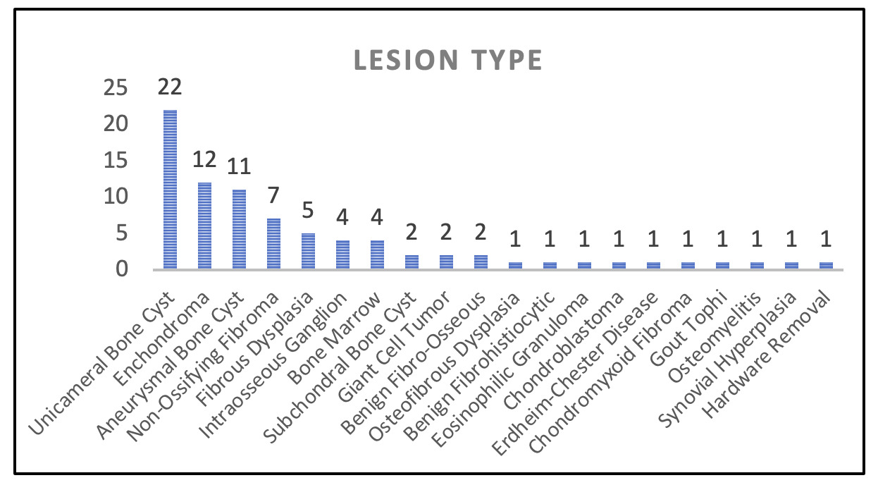 Outcomes of Bone Void Filler for Oncology Indications: A Single-Center ...