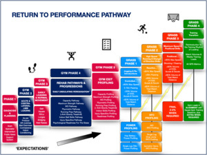 The Development of a Return to Performance Pathway Involving A Professional Soccer Player ...