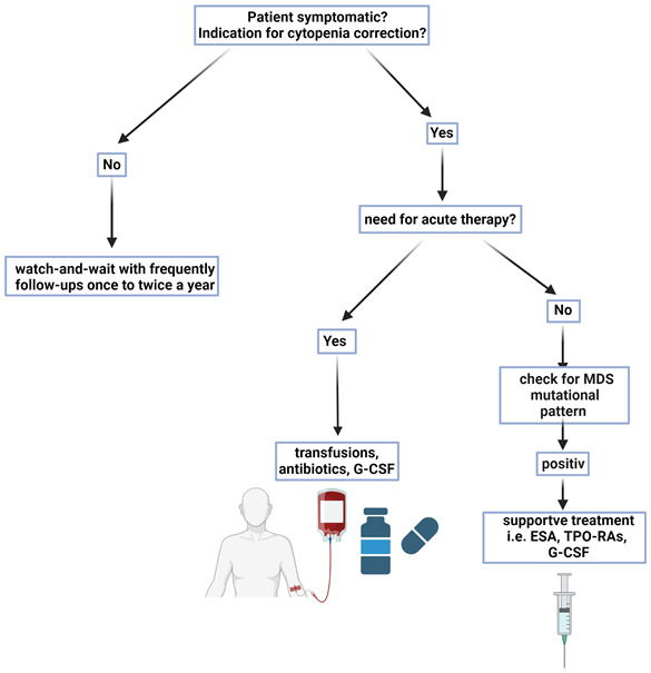 Diagnostic Approach, Clinical Implications and Management of Clonal ...